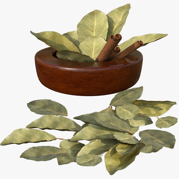 3D Cinnamon Models | TurboSquid