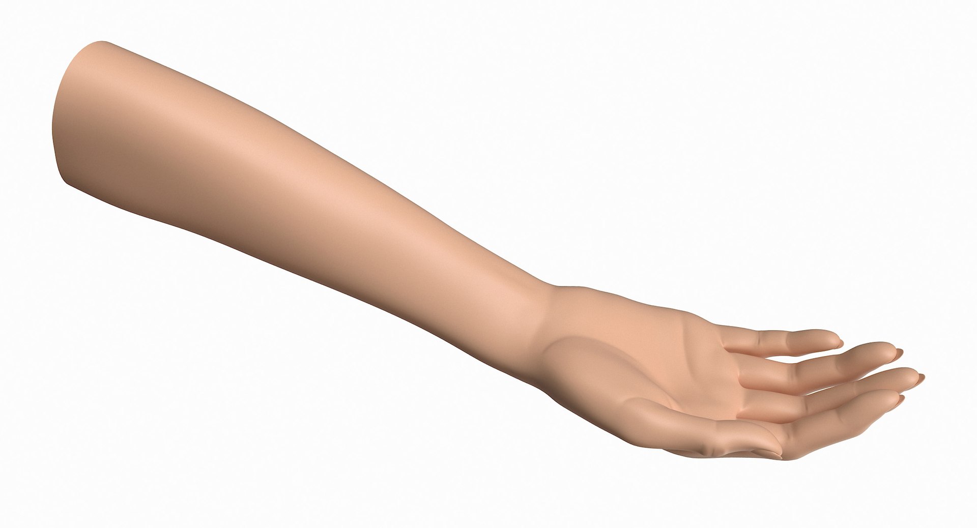 Female Arm Pose B 3D Model - TurboSquid 1199416