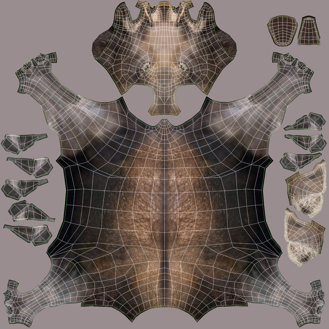 3d Moose Female Fur