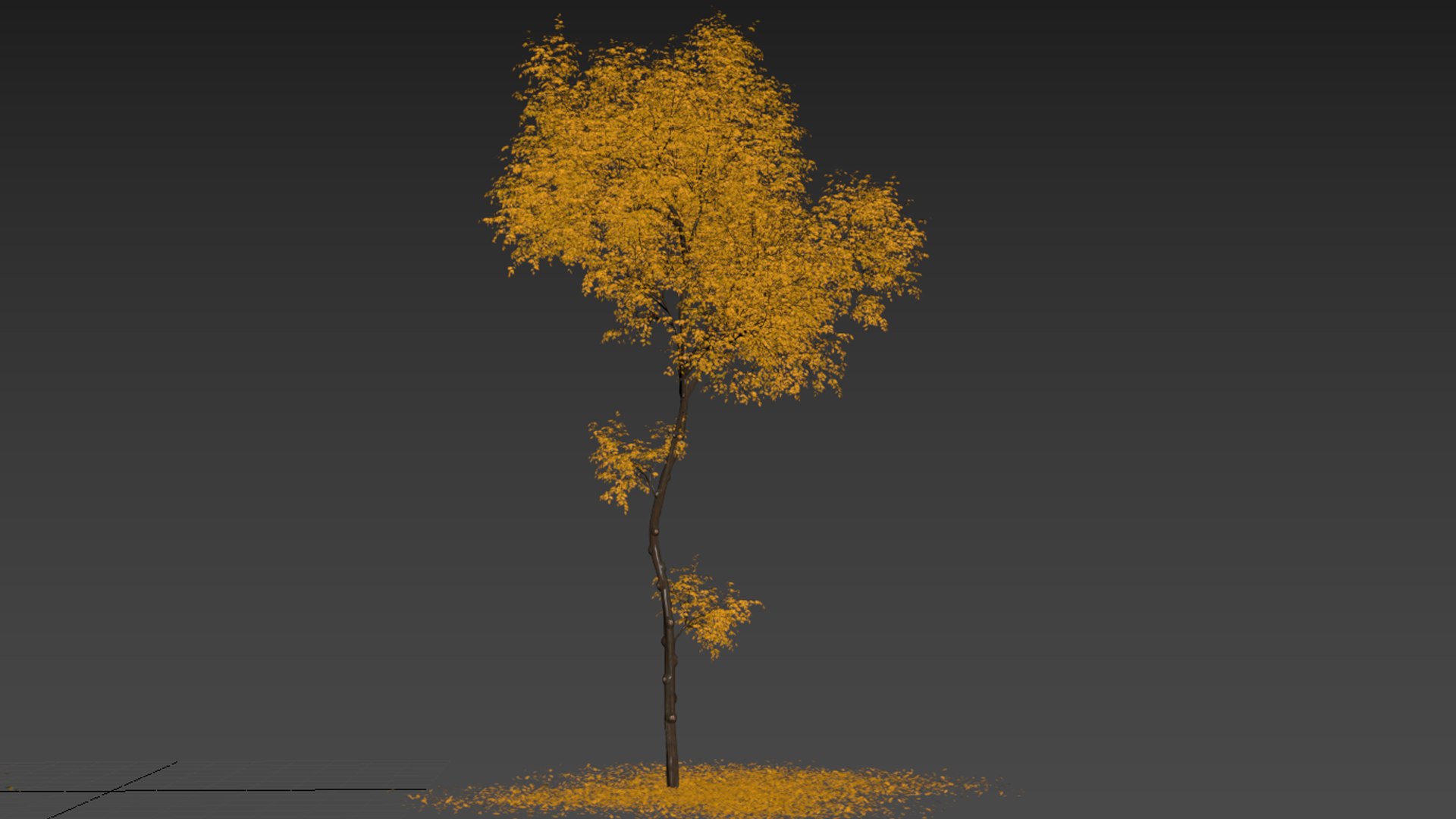 Acer Saccharinum Fall 3D Model - TurboSquid 2147641
