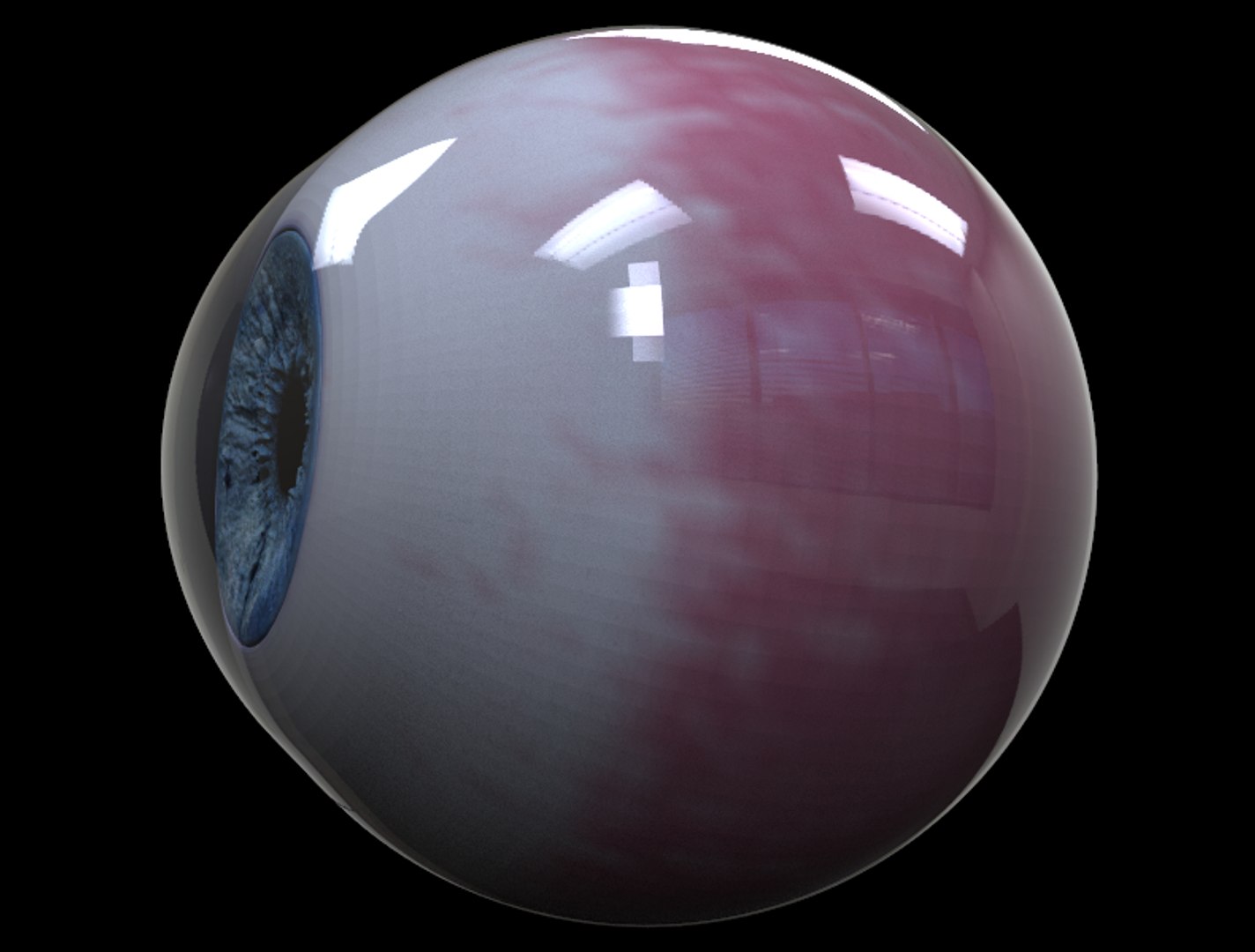 Realistic Eyeball Hd Model - TurboSquid 1240843