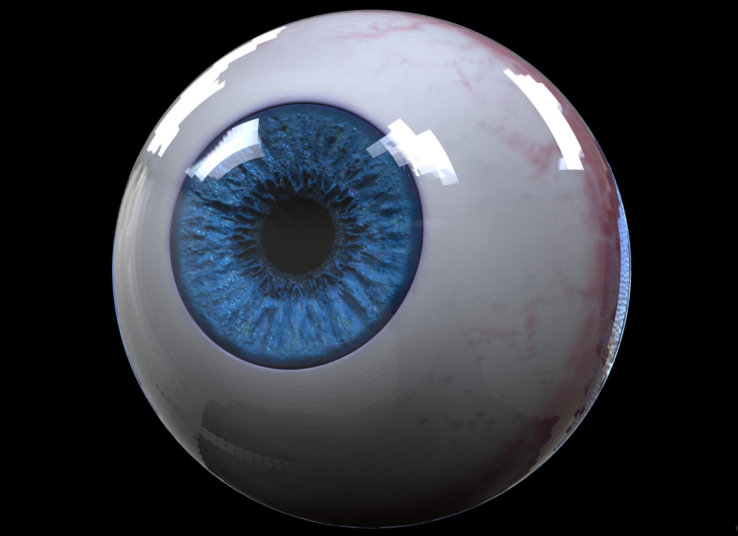 Realistic Eyeball Hd Model - TurboSquid 1240843
