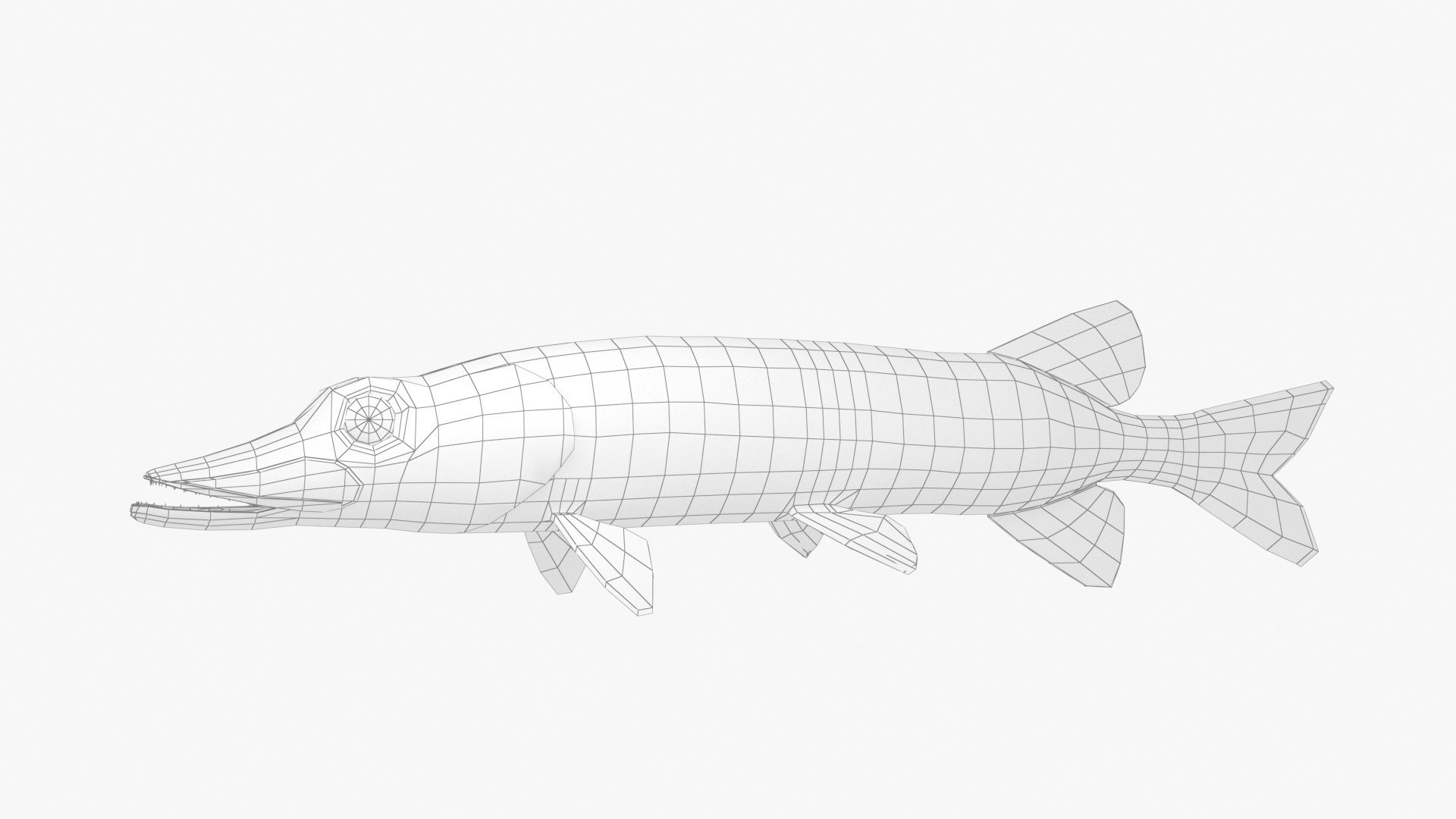American Pickerel 3D model - TurboSquid 1843195