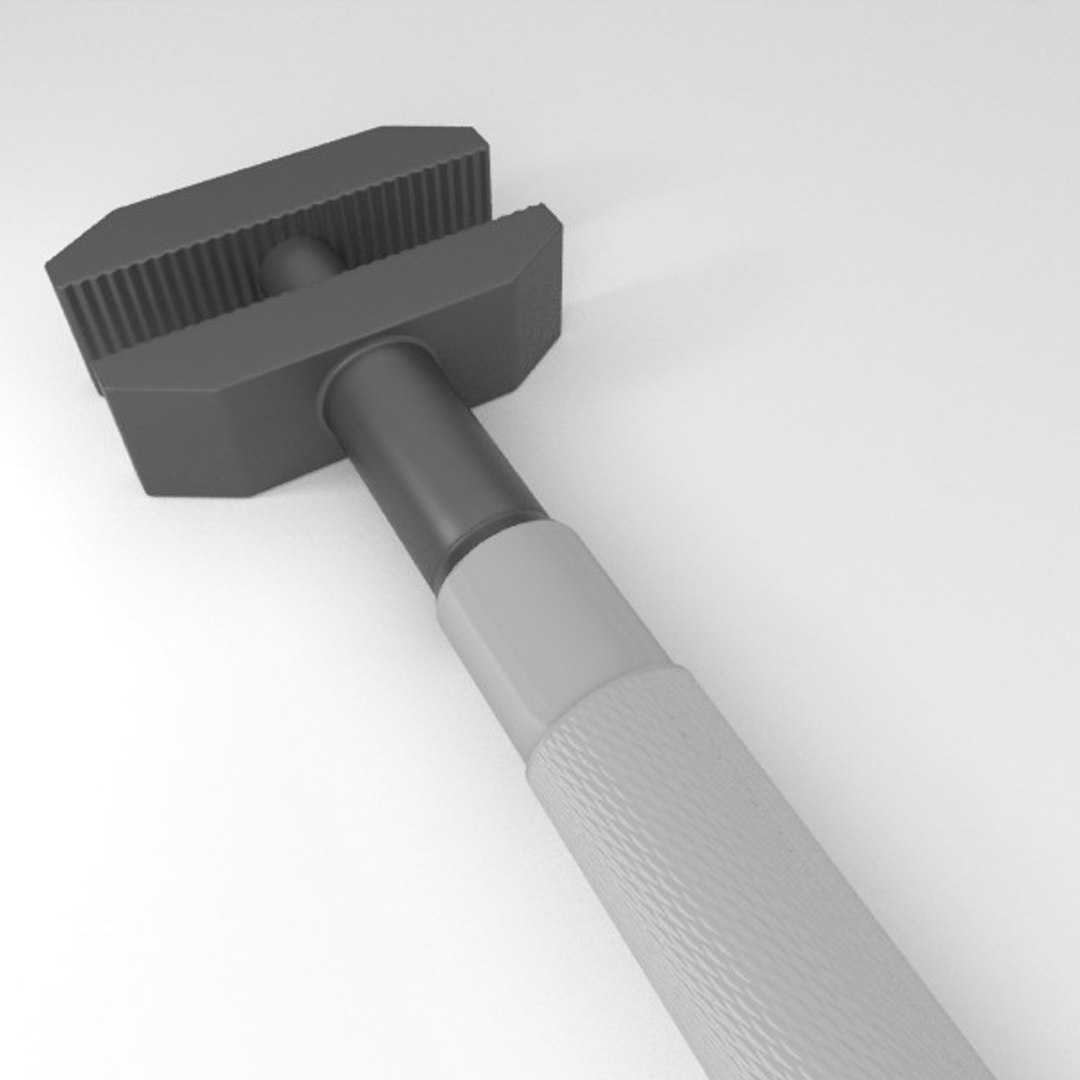 French Key 3d Model