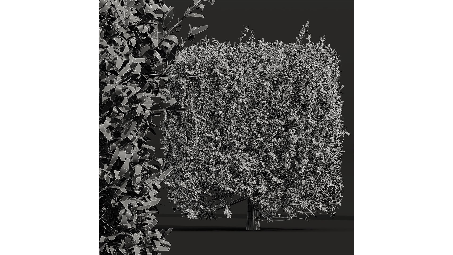 3D 6Different SETS Of Bush Set Vol 27 - TurboSquid 2205050