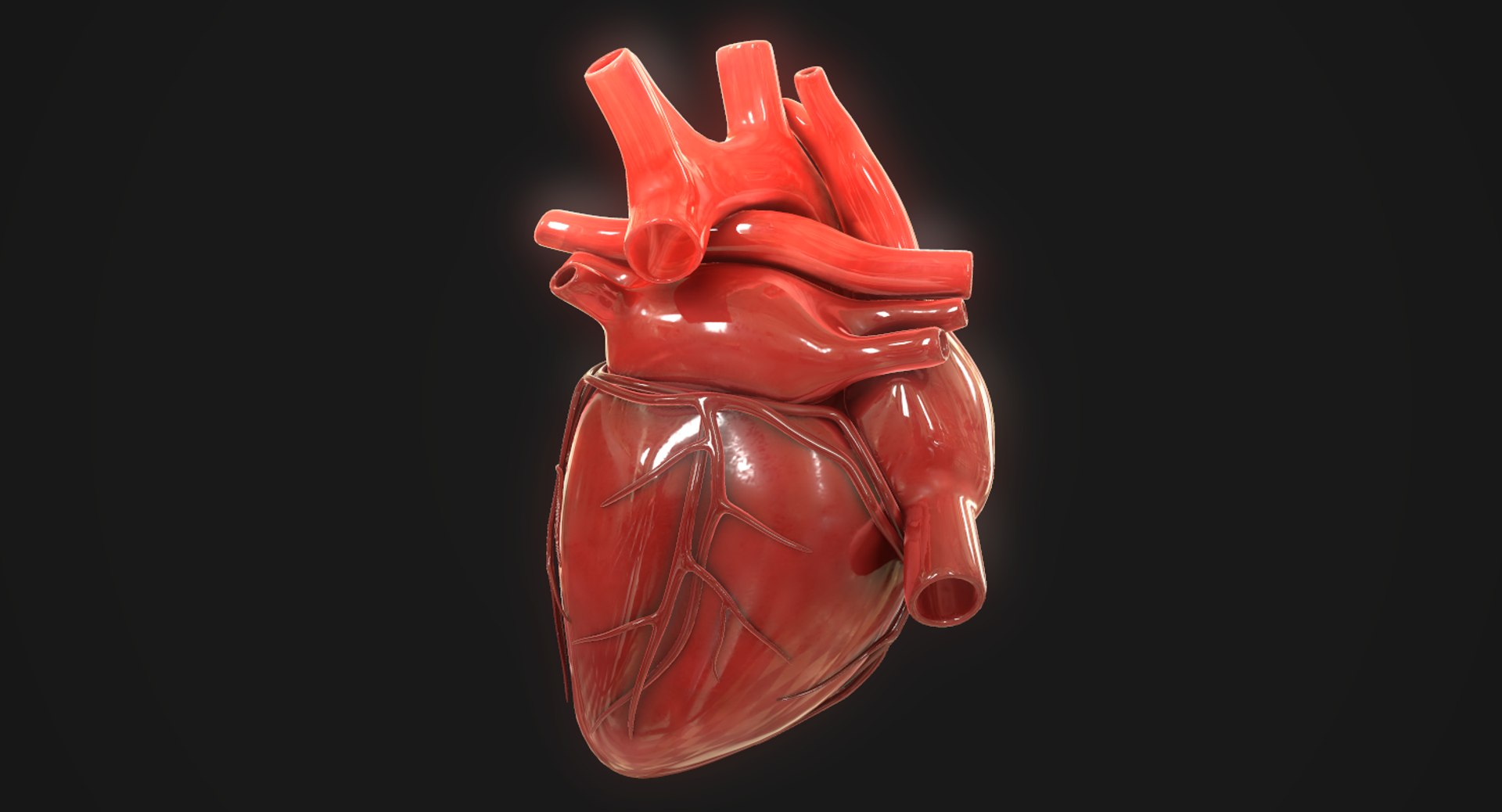 3D Human Heart - TurboSquid 1423011