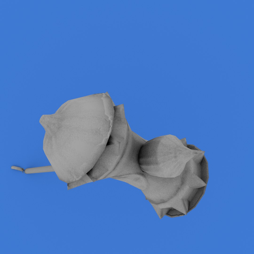 blunt 3d model