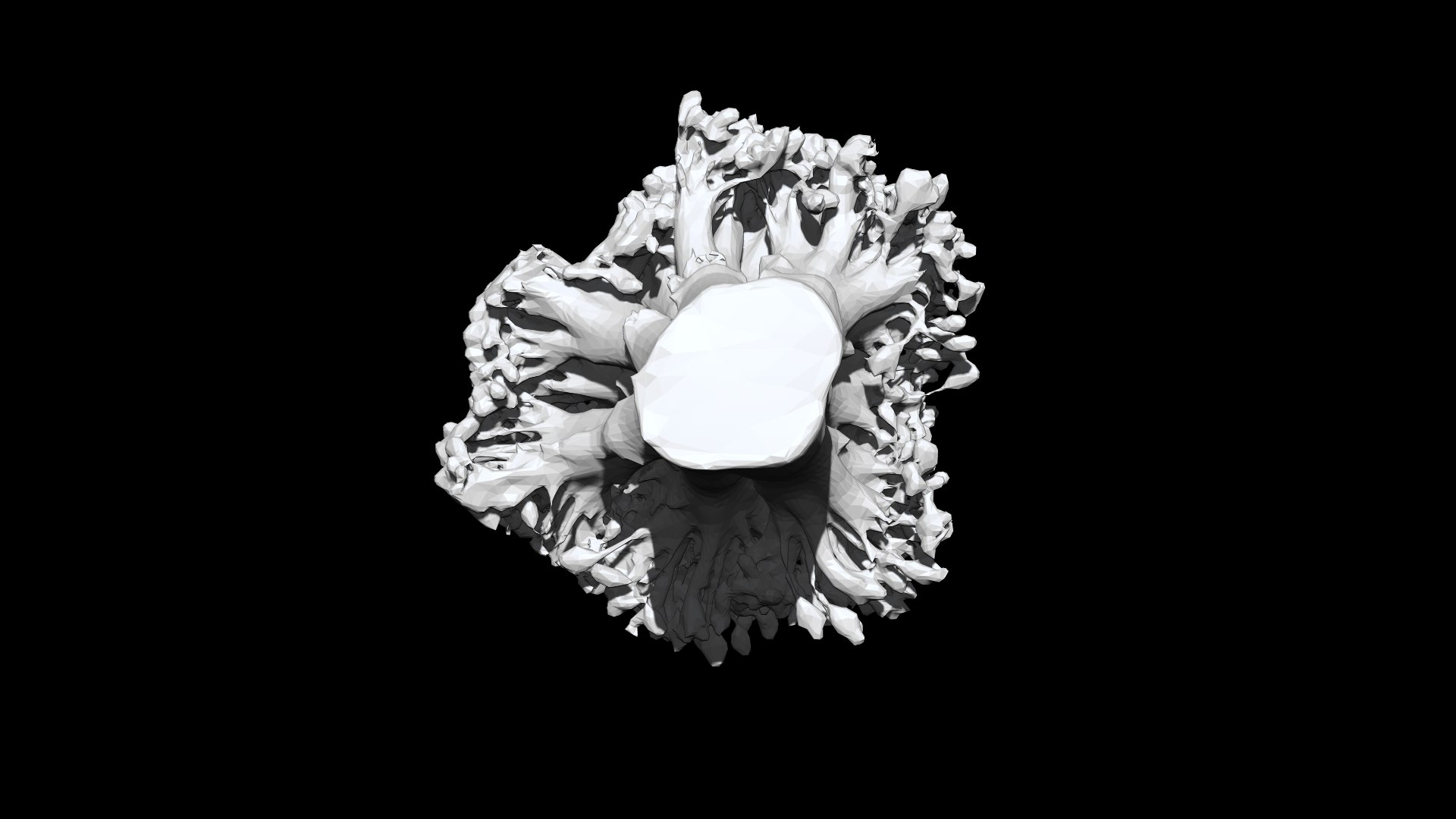 Broccoli Cut 3D CT Scan Model 5 Decimate30percent 3D Model - TurboSquid ...