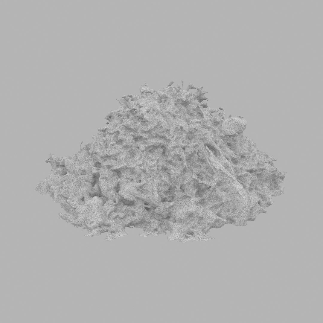 Tea Leaves Flowers 3D Model - TurboSquid 1365194