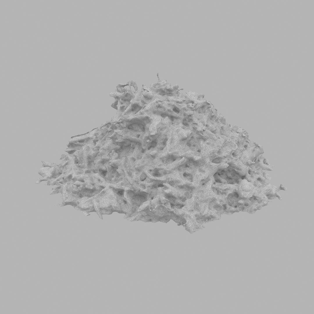 Tea Leaves Flowers 3D Model - TurboSquid 1365194