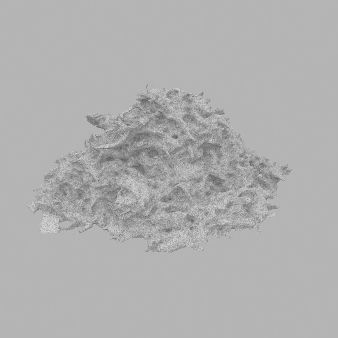 Tea Leaves Flowers 3D Model - TurboSquid 1365194