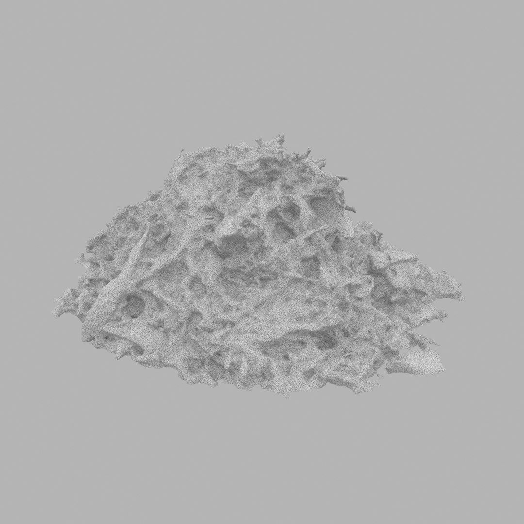 Tea Leaves Flowers 3D Model - TurboSquid 1365194
