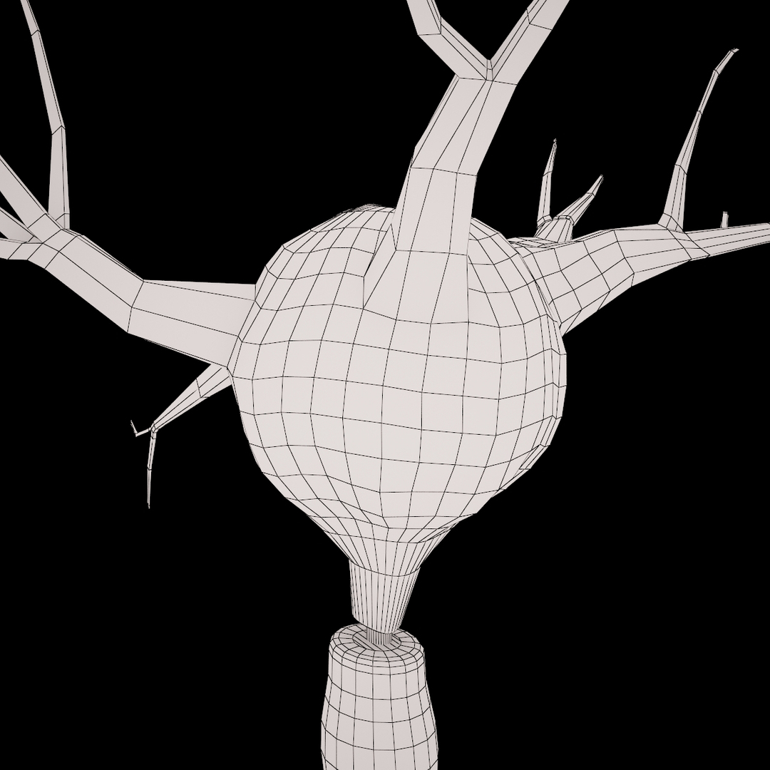 microscopic 3d model