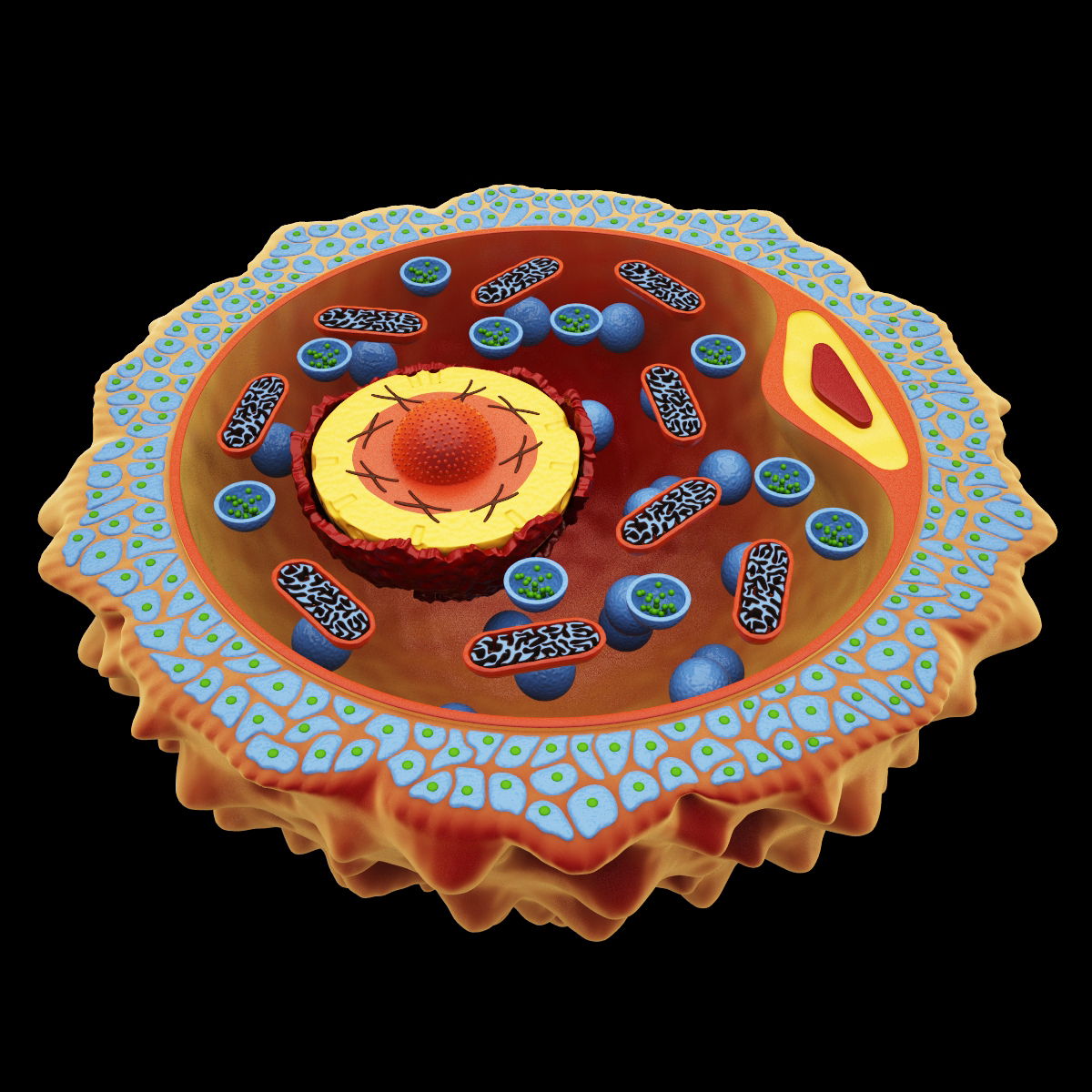 microscopic 3d model