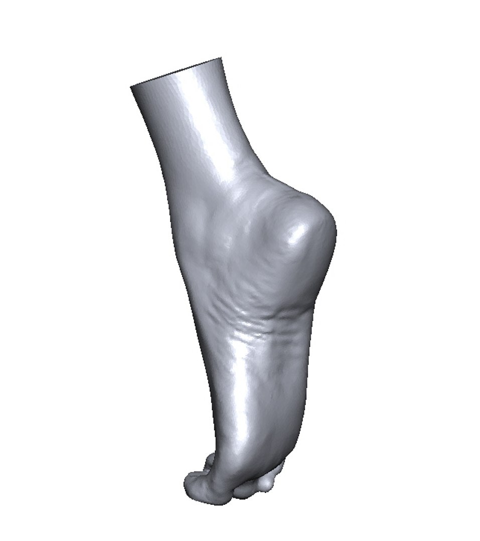3D Scan Foot Model - TurboSquid 1348817
