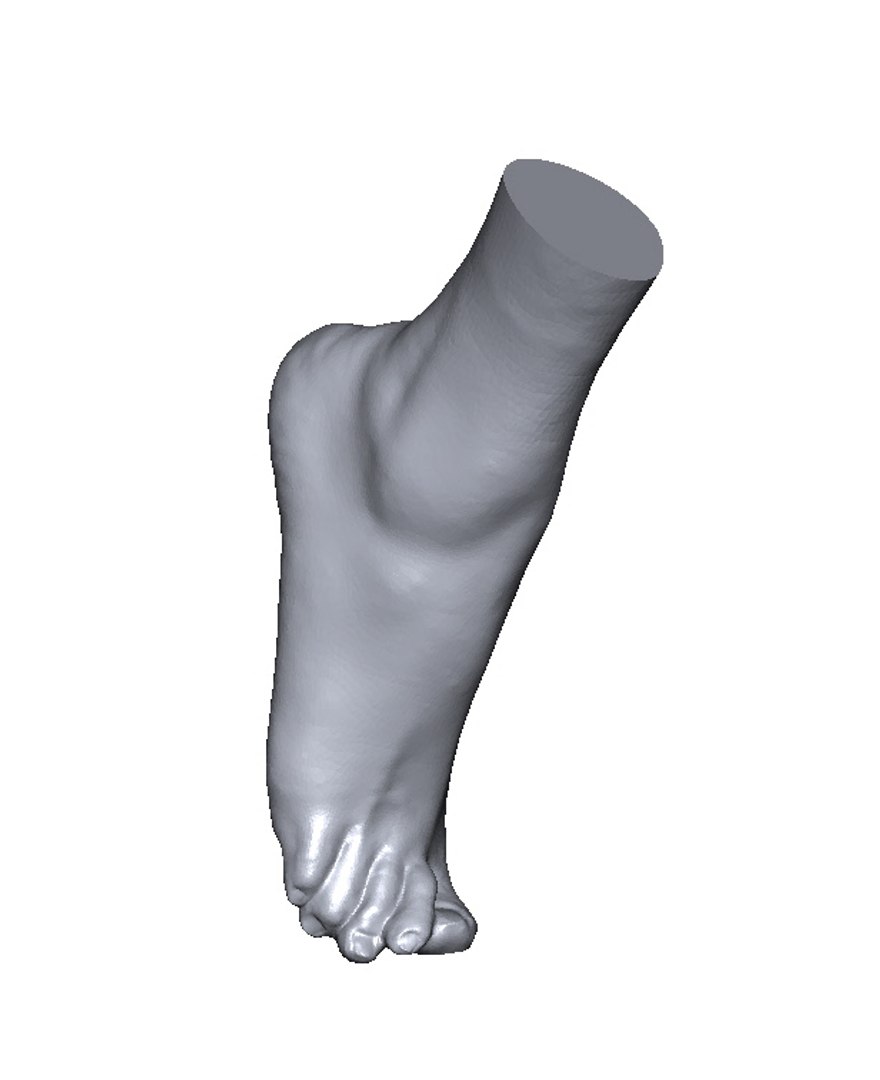 3D Scan Foot Model - TurboSquid 1348817