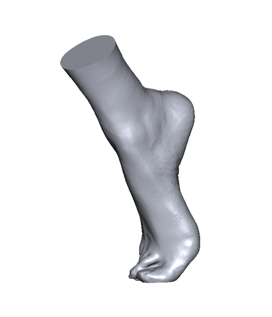 3D Scan Foot Model - TurboSquid 1348817