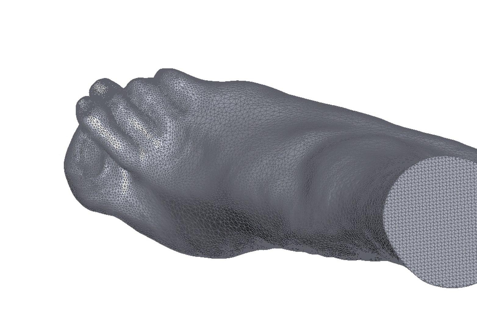 3D Scan Foot Model - TurboSquid 1348817