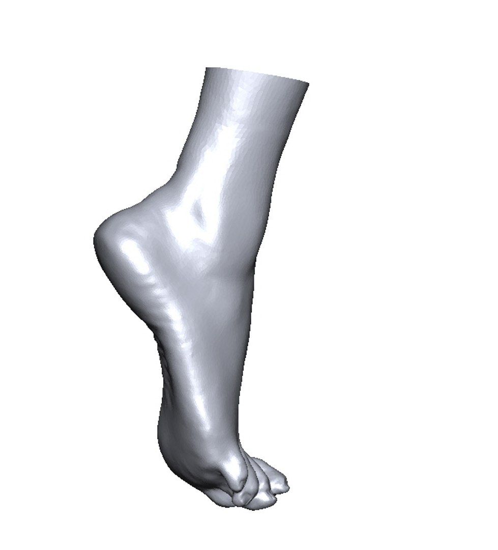3D Scan Foot Model - TurboSquid 1348817