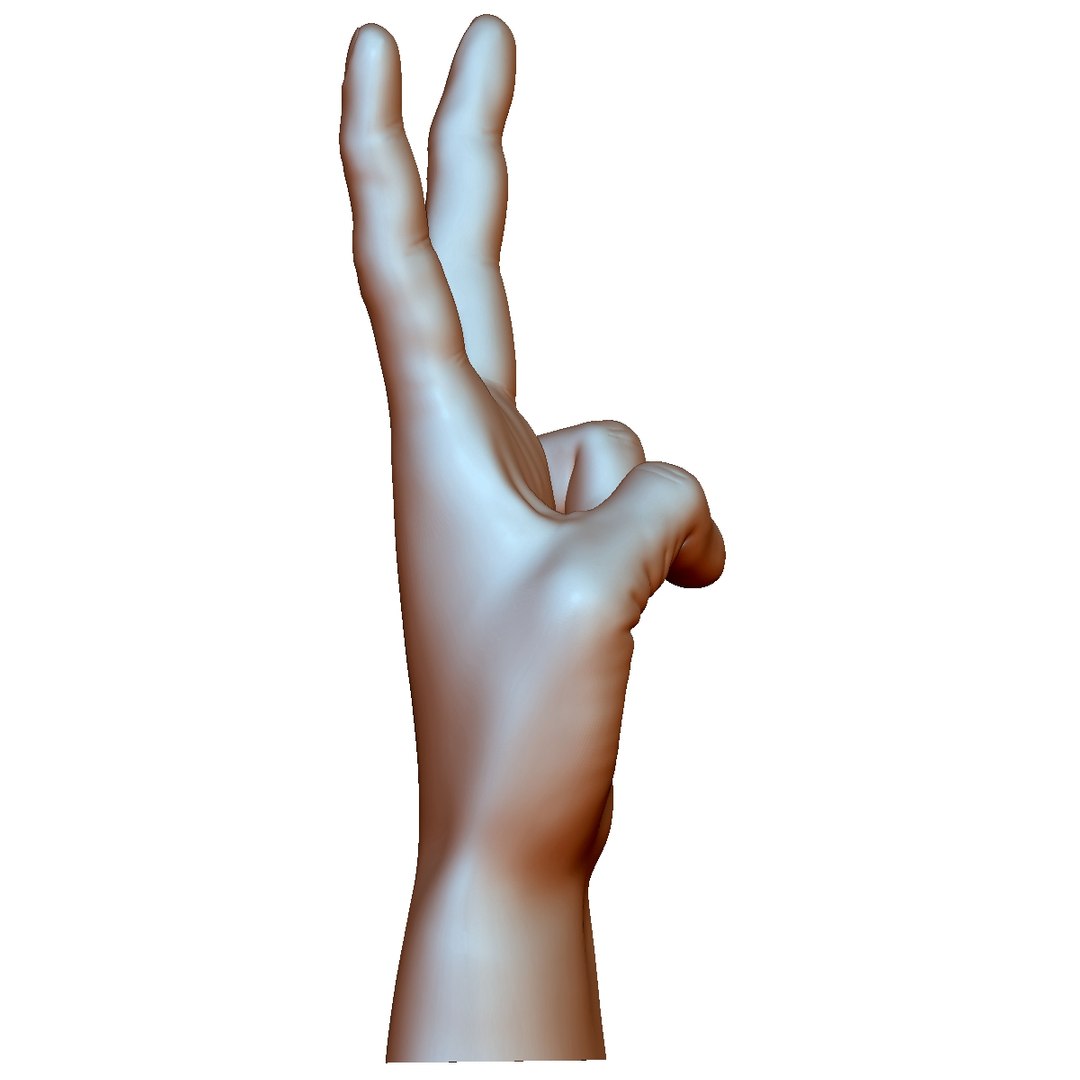 Male Hand Victory Sign 3D Model - TurboSquid 1393468