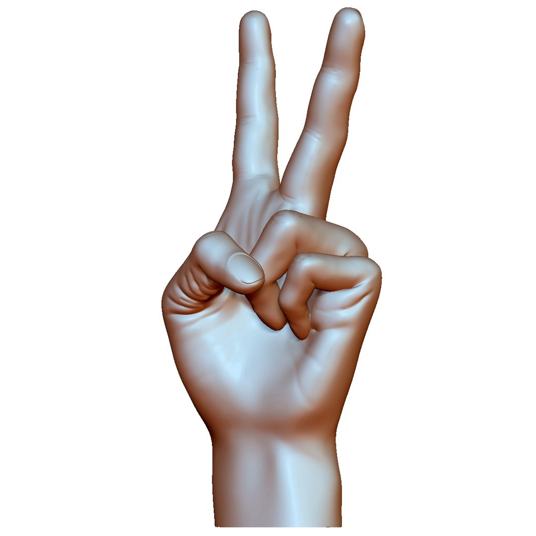 Male Hand Victory Sign 3D Model - TurboSquid 1393468