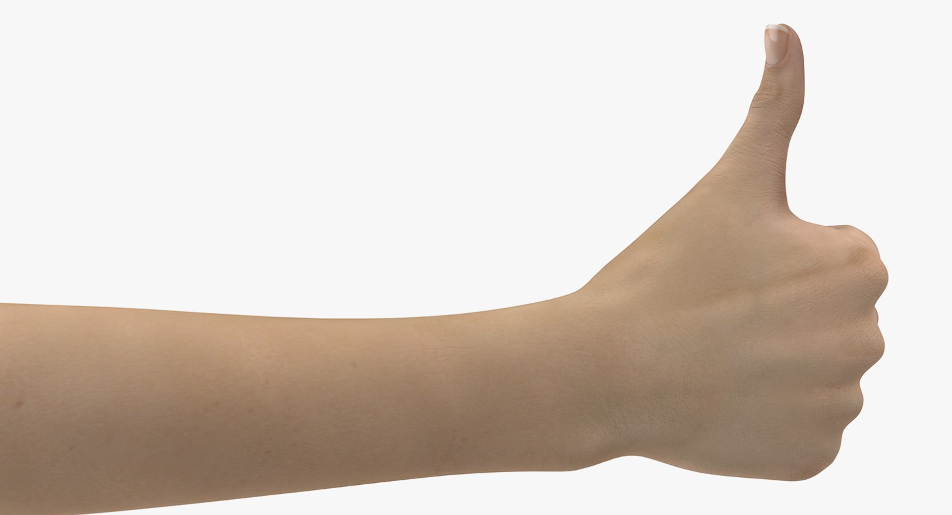 Caucasian female hand short 3D model - TurboSquid 1393906