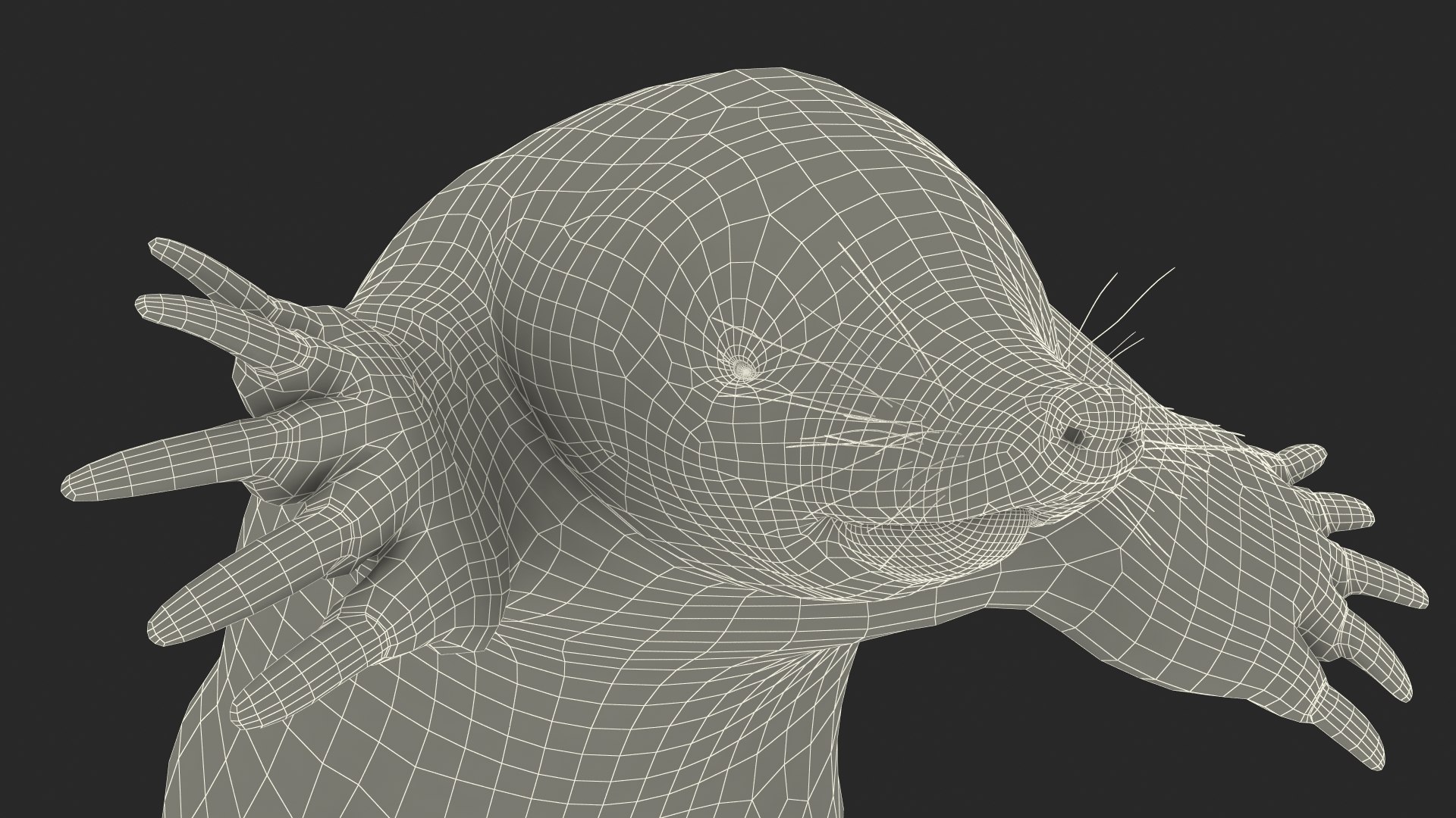 3D Mole Animal - TurboSquid 2228023