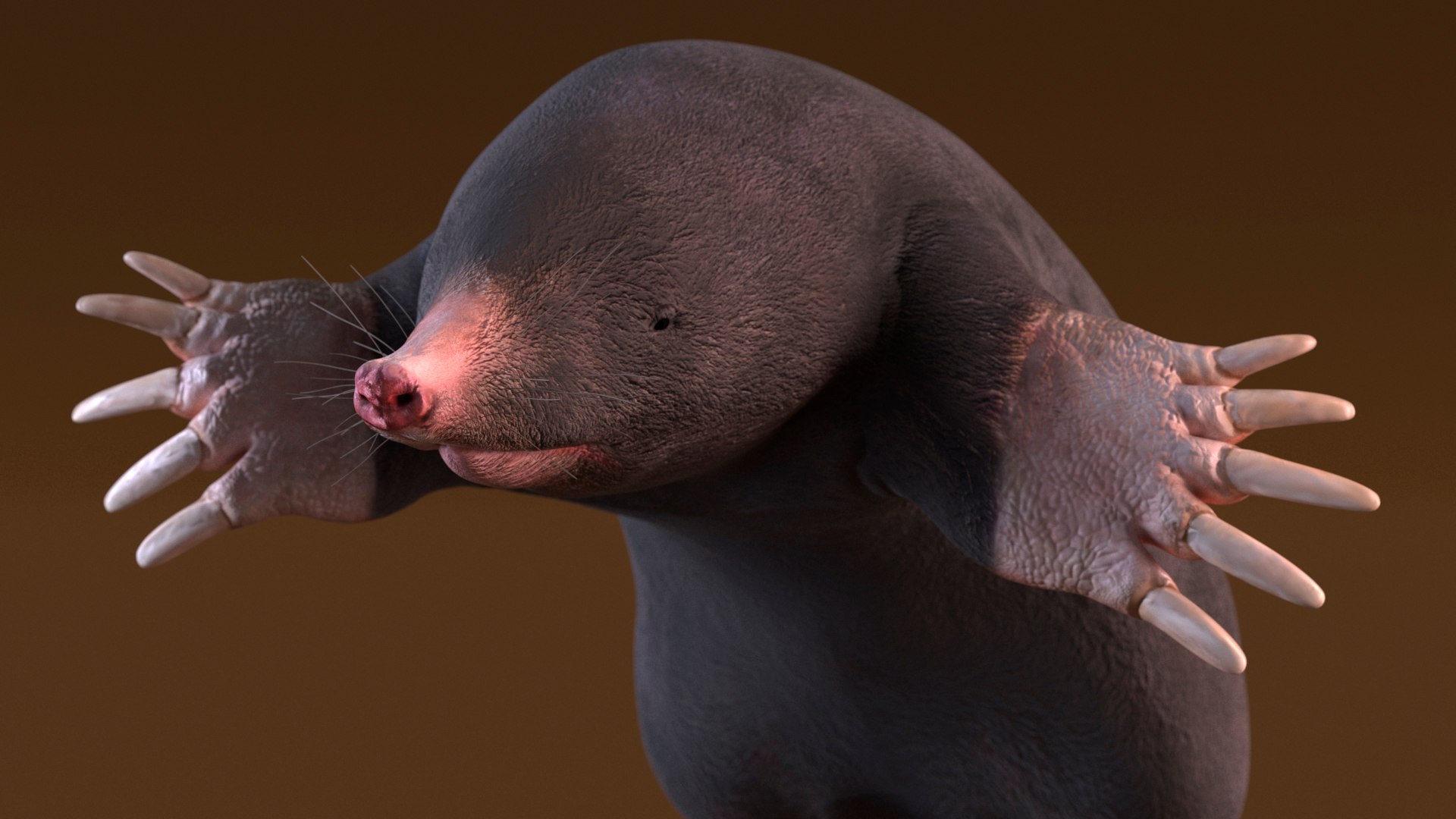 3D Mole Animal - TurboSquid 2228023