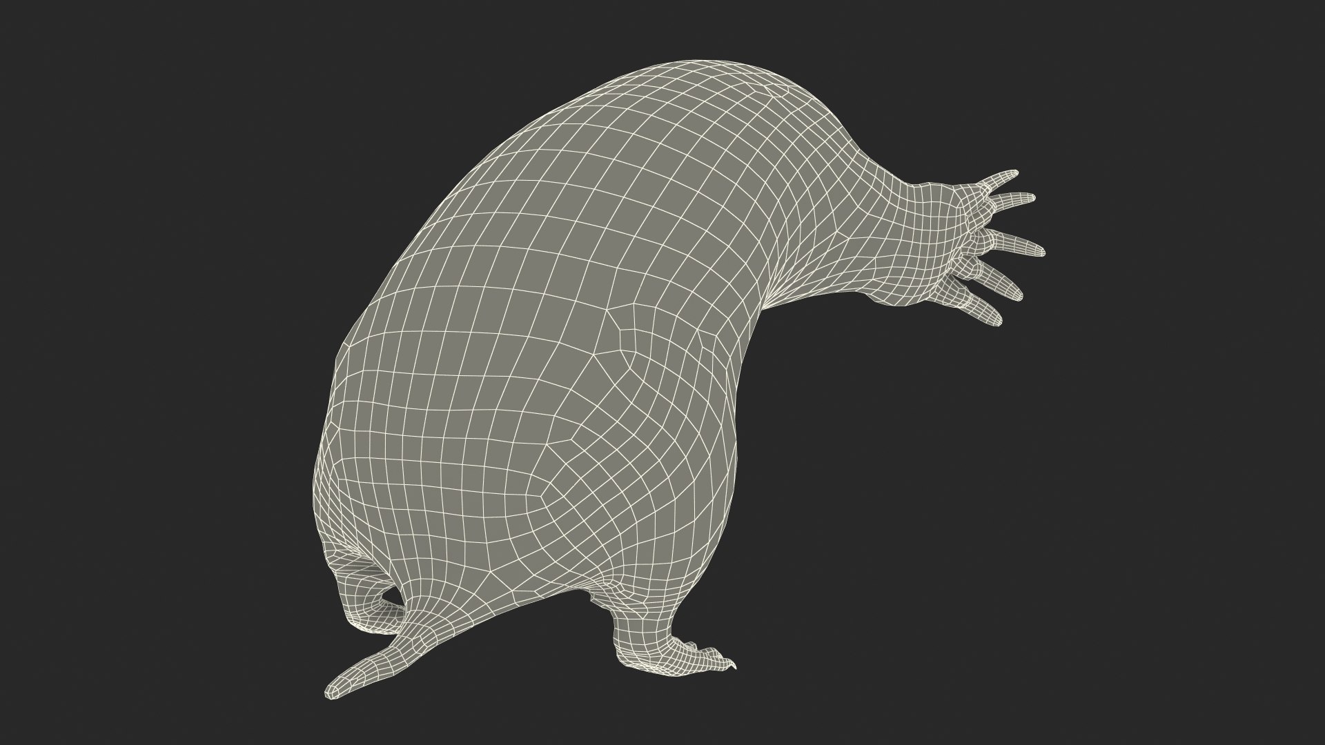 3D Mole Animal - TurboSquid 2228023