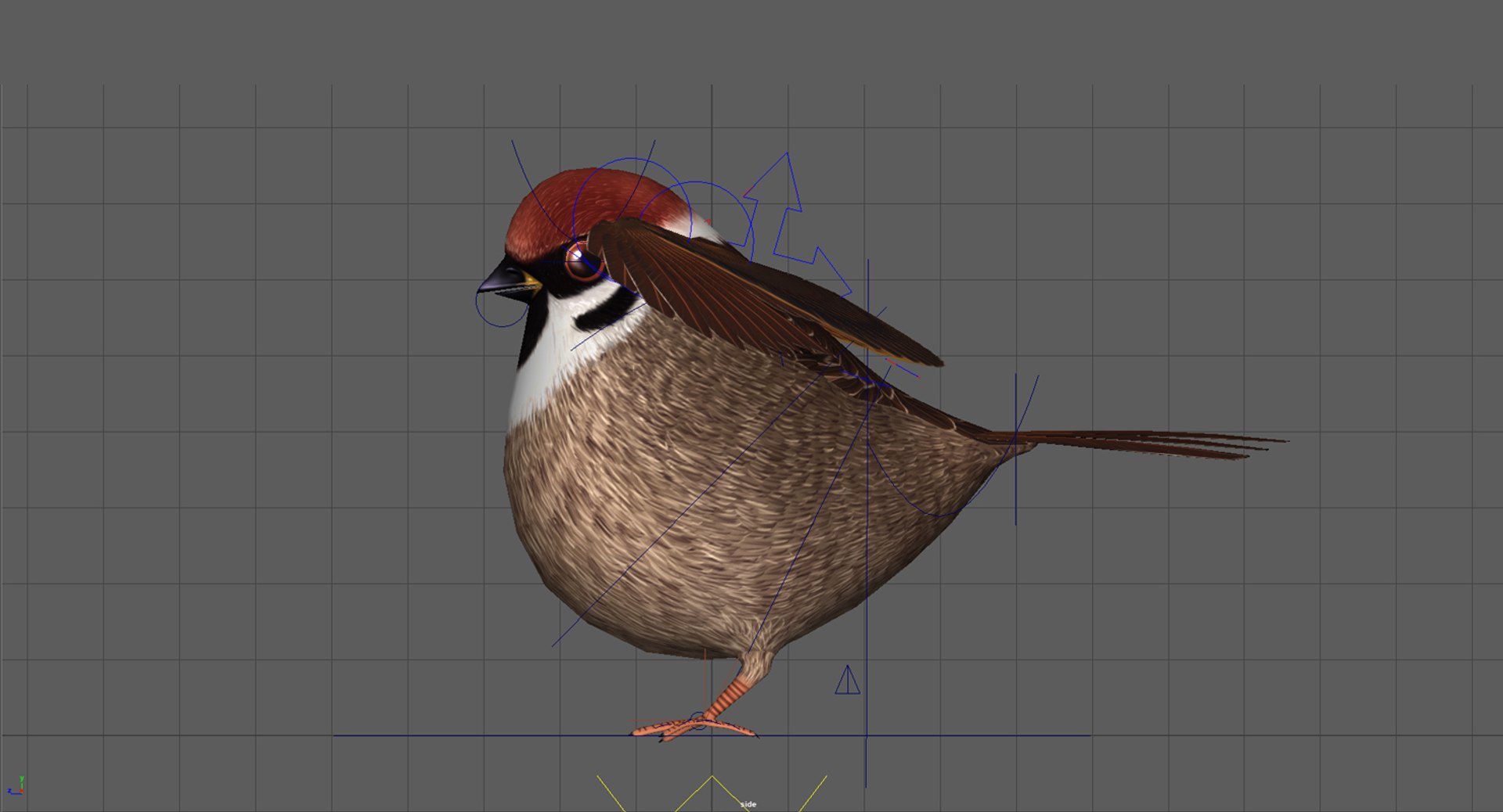 3D Sparrow Bird Nature Model - TurboSquid 1597663