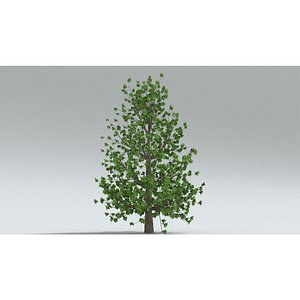 Download Free & Premium Platanushispanica 3D Models | TurboSquid