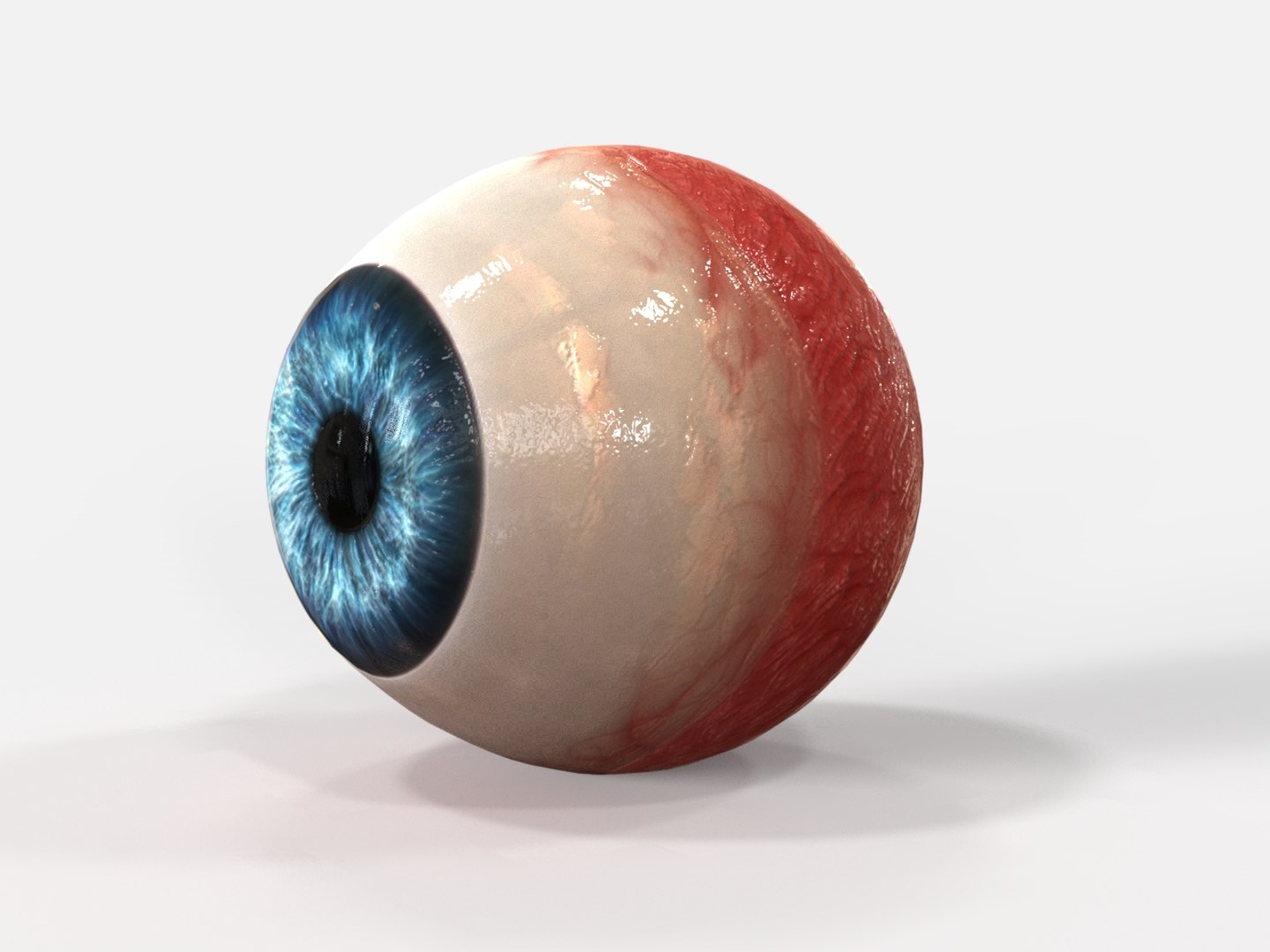 Human Eye 3d X