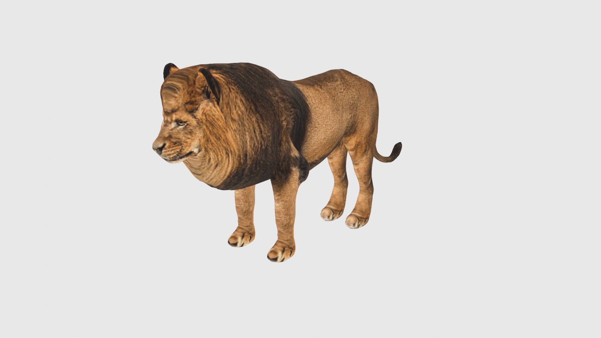 3D Low Poly Lion Rigged With Realistic Texture - TurboSquid 1876143