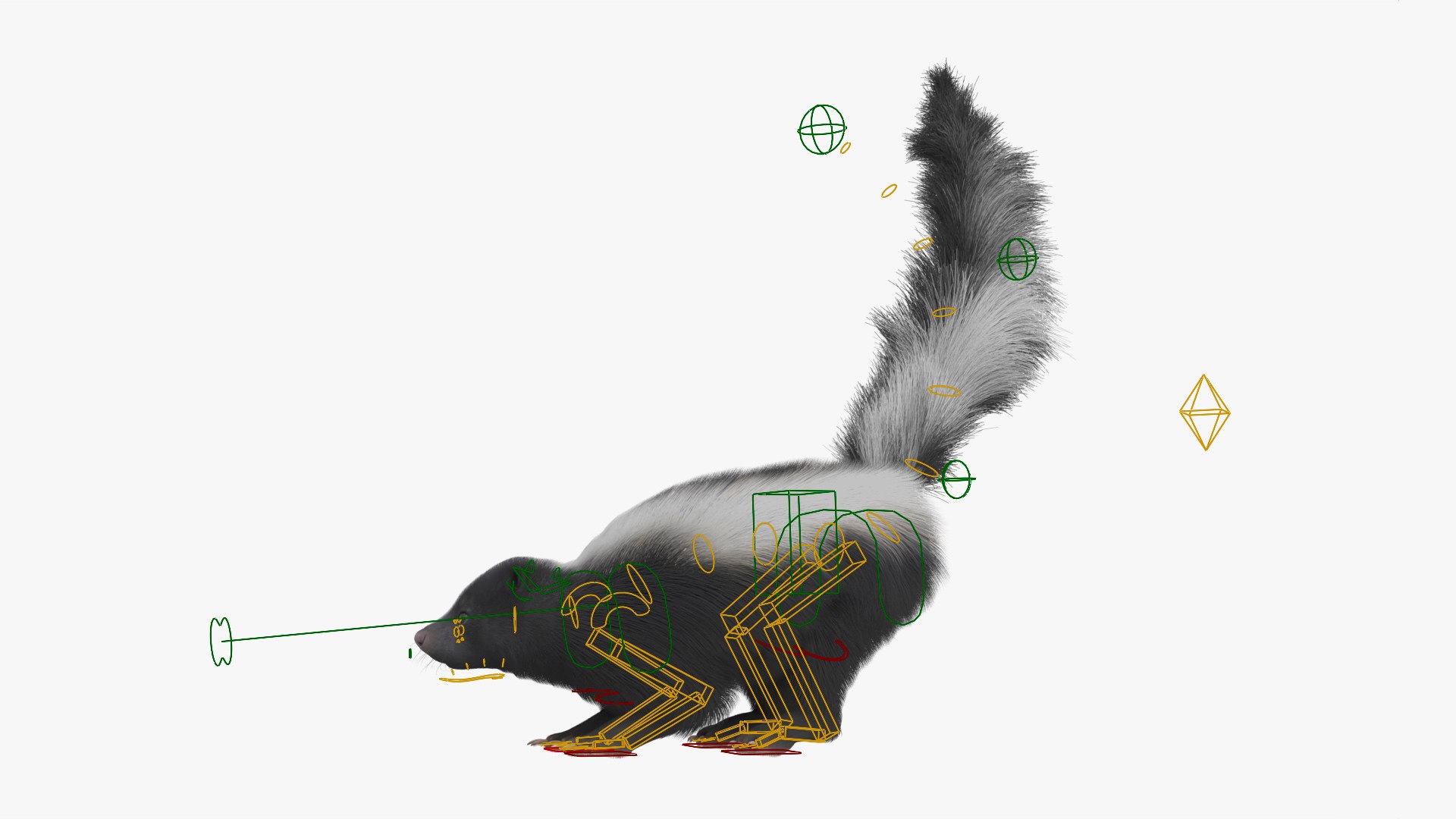 Animal Skunk Fur Animated Rigged For Blender 3D Model - TurboSquid 2486669