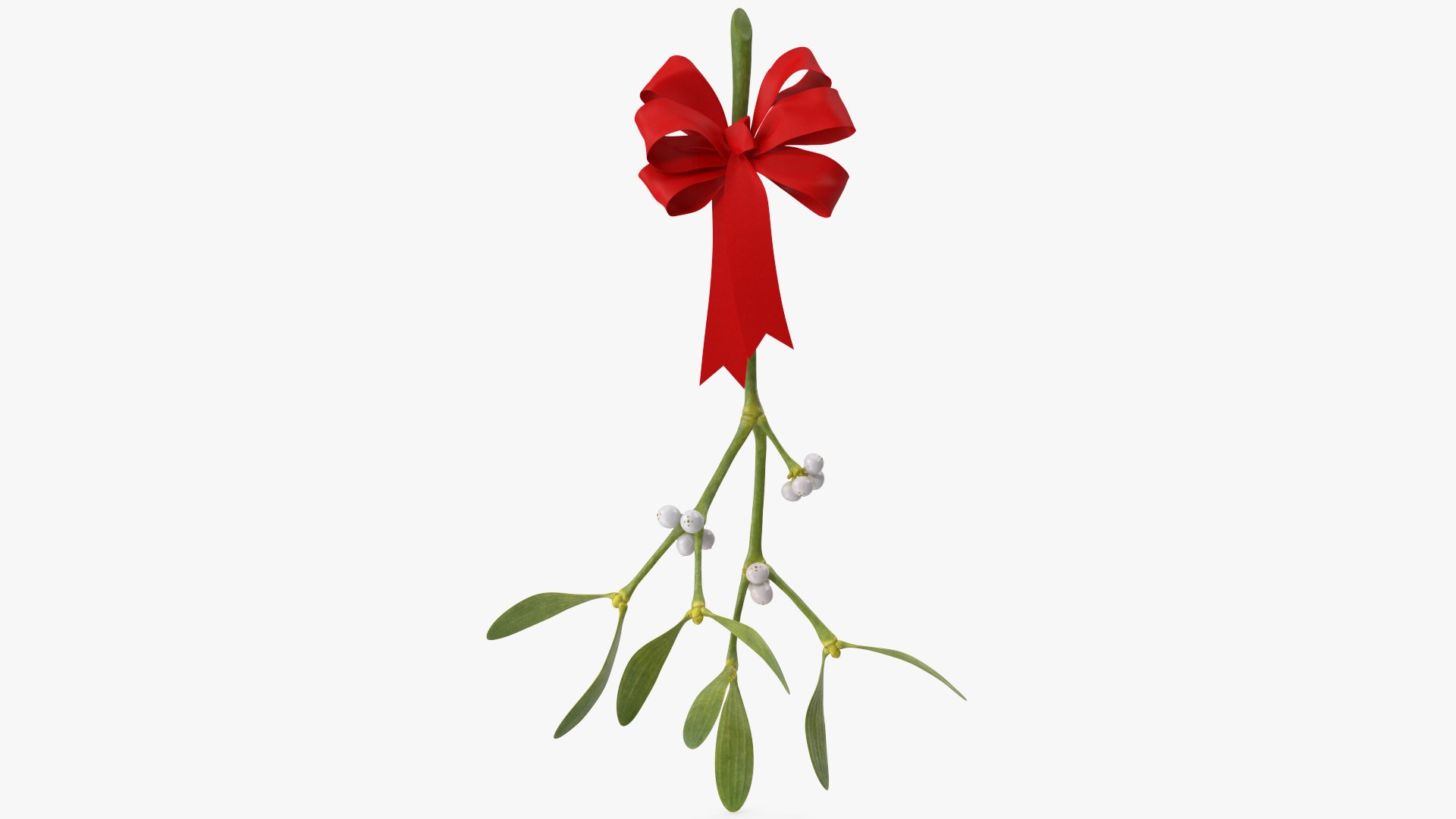 3D Mistletoe 2 with Red Bow - TurboSquid 1804355