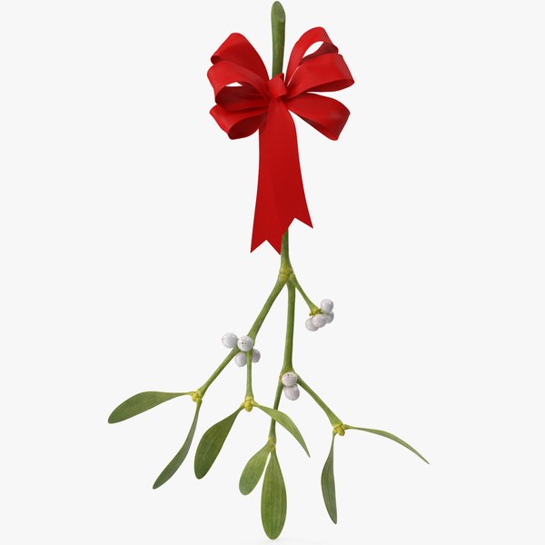 3D Mistletoe 2 with Red Bow - TurboSquid 1804355