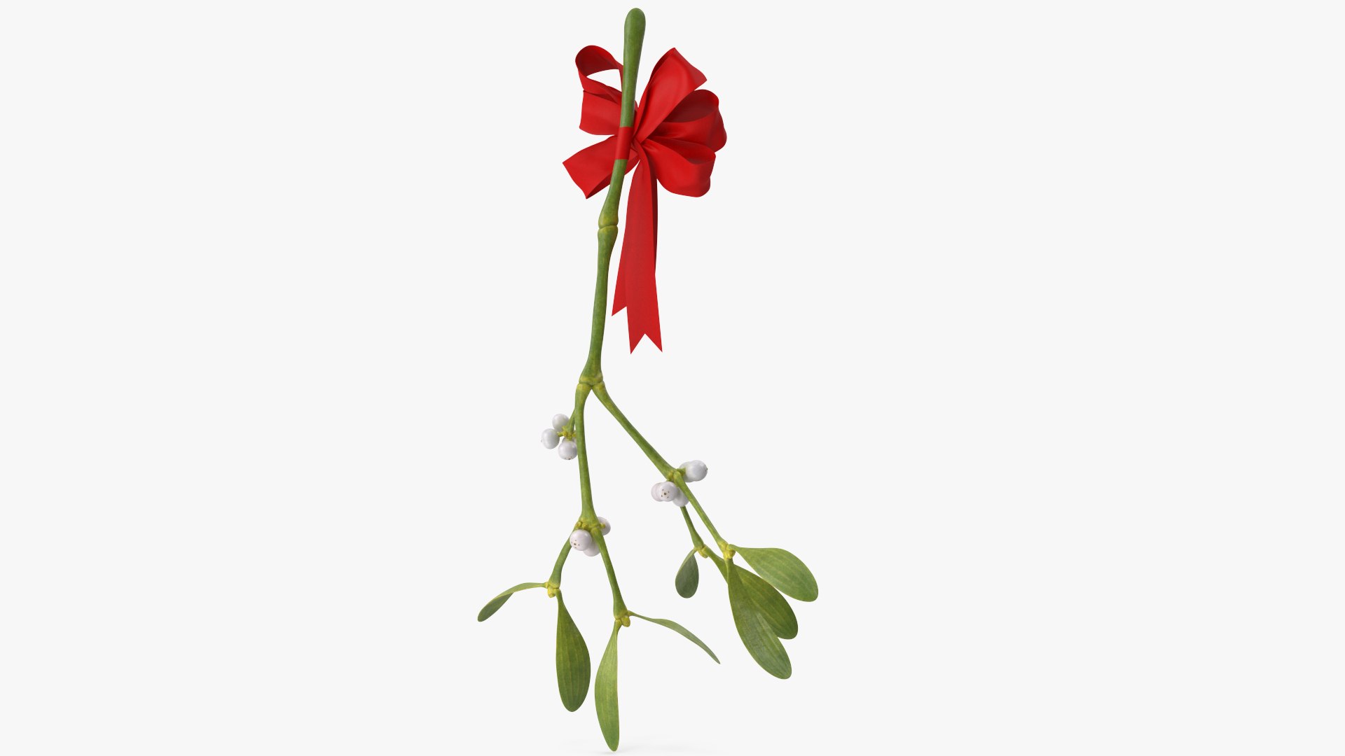 3D Mistletoe 2 with Red Bow - TurboSquid 1804355