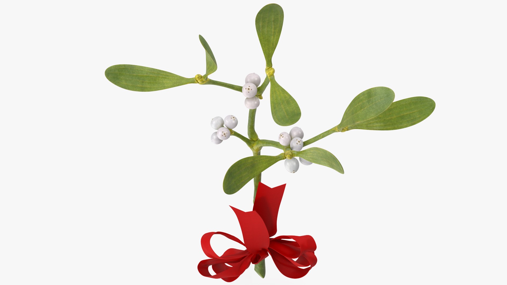 3D Mistletoe 2 with Red Bow - TurboSquid 1804355