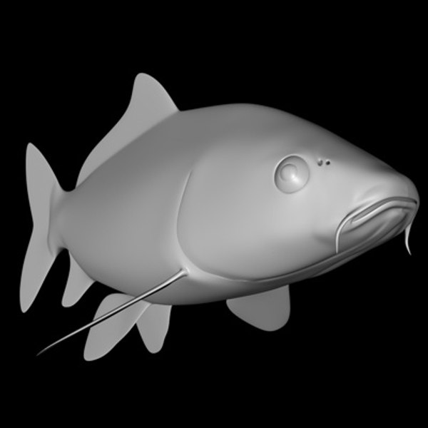 koi fish c4d