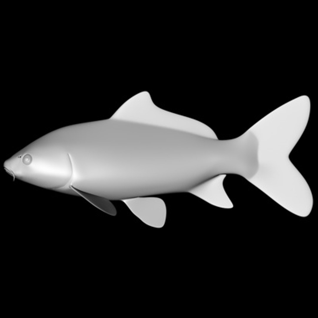 Koi Fish C4d