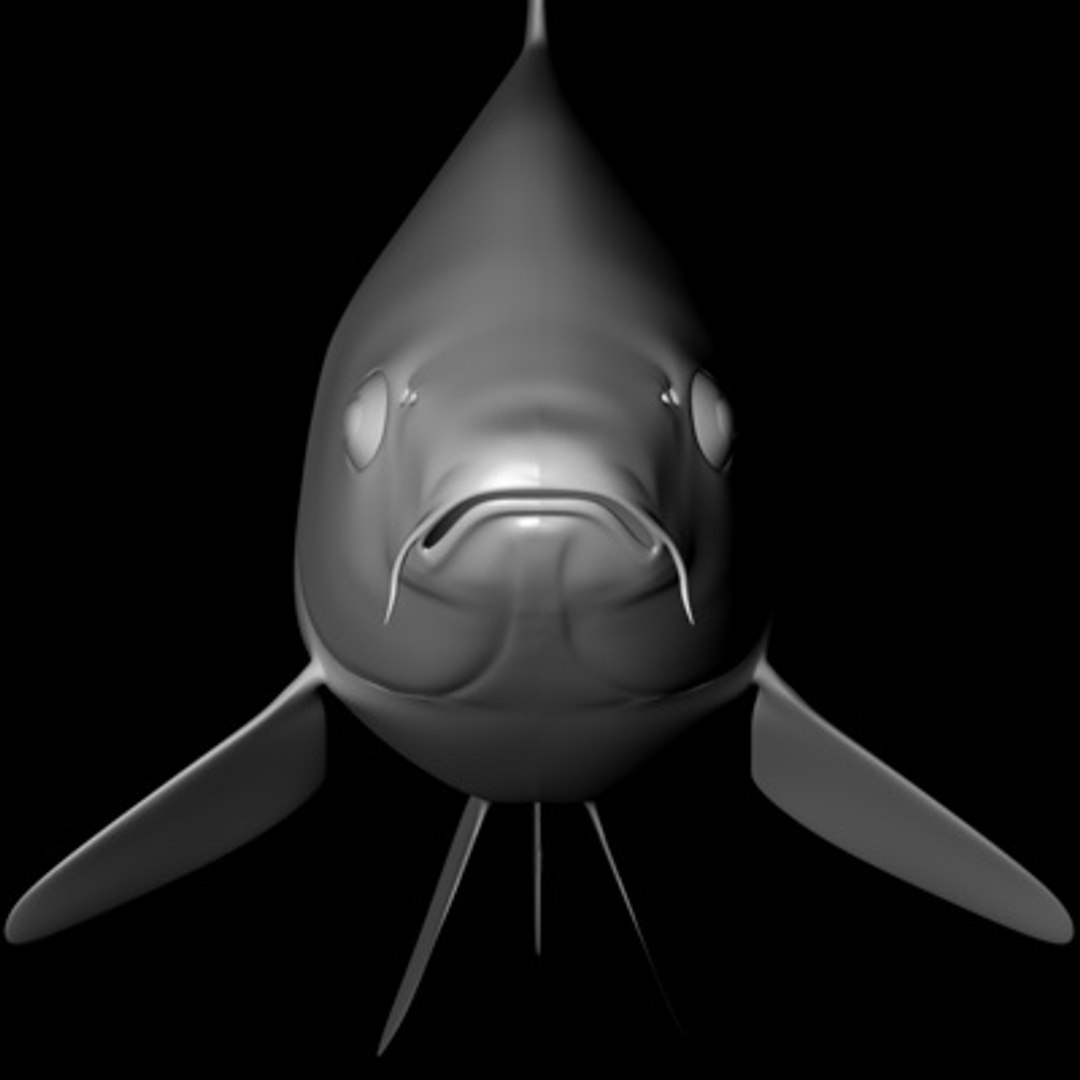 Koi Fish C4d