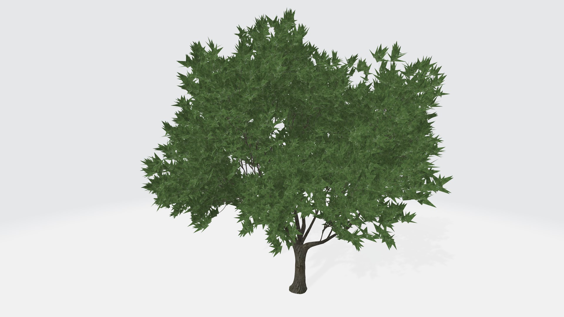 Wide canopy tree 3D model - TurboSquid 1955958