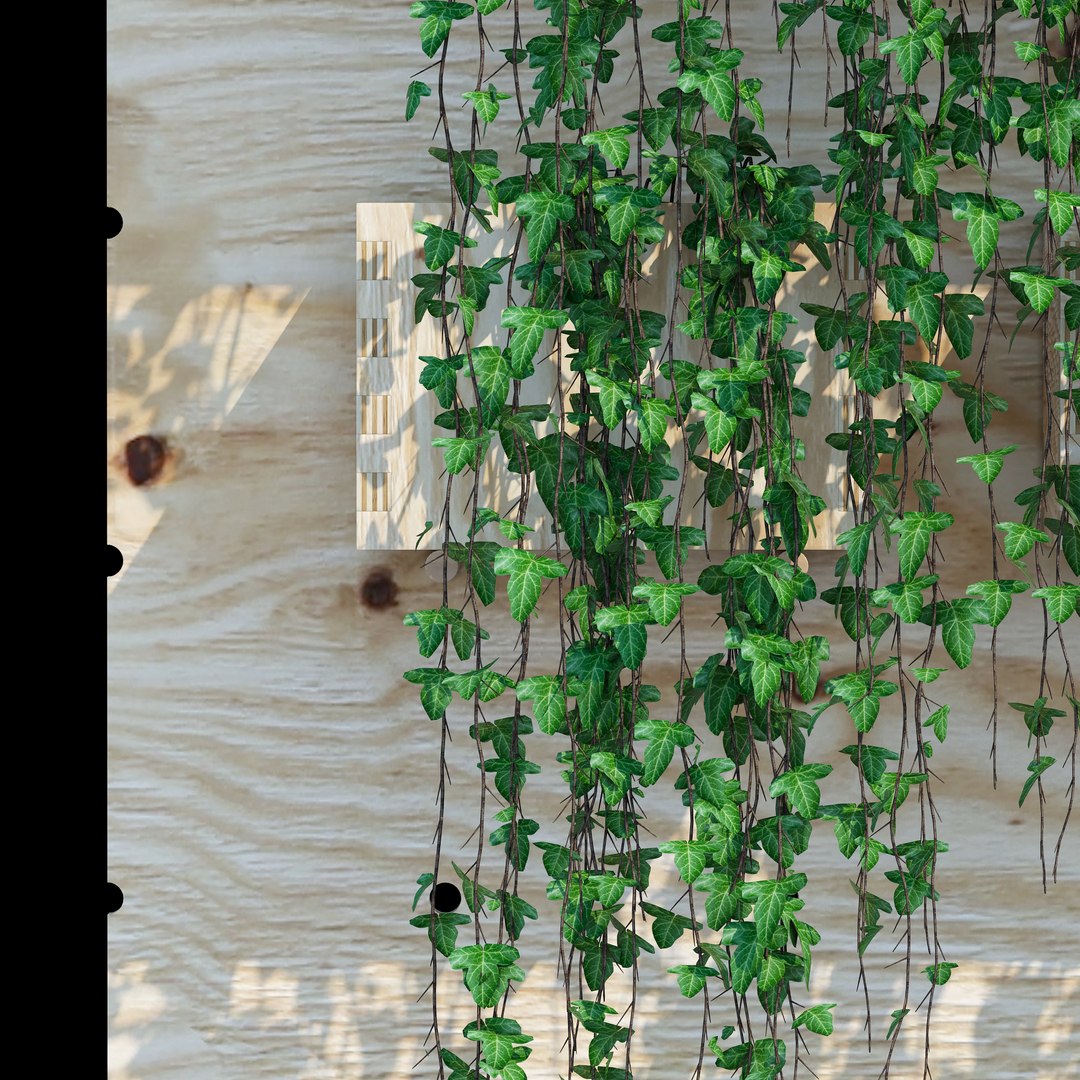 3D planter box ivy model - TurboSquid 1518284