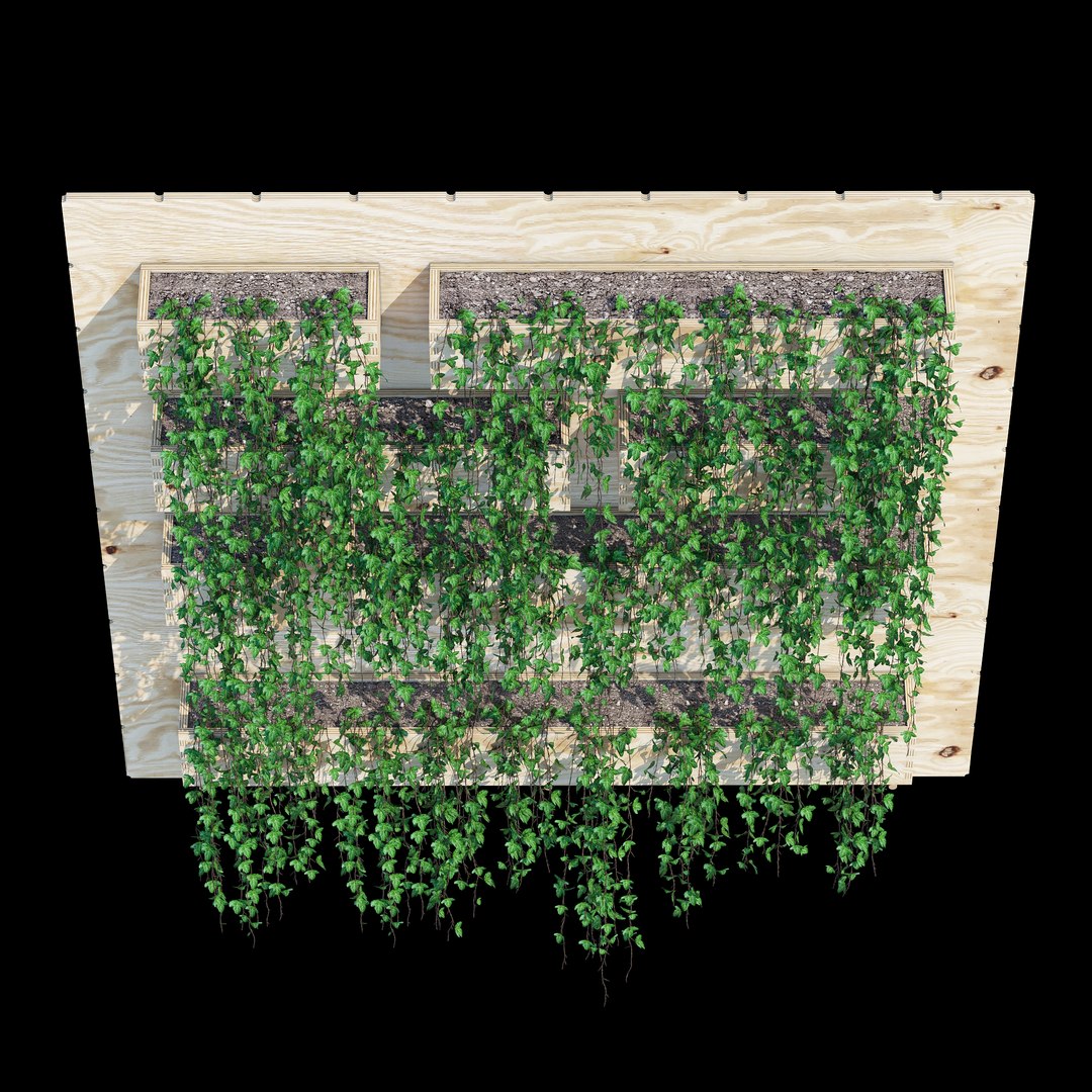 3D planter box ivy model - TurboSquid 1518284