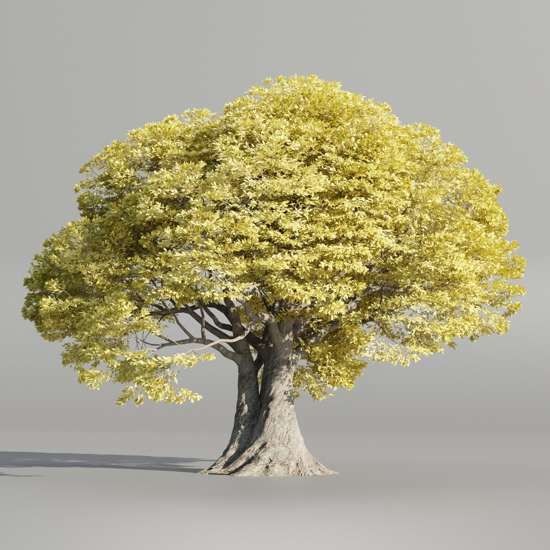 Landscape Tree Vol 165-Blender 3D - TurboSquid 2155573
