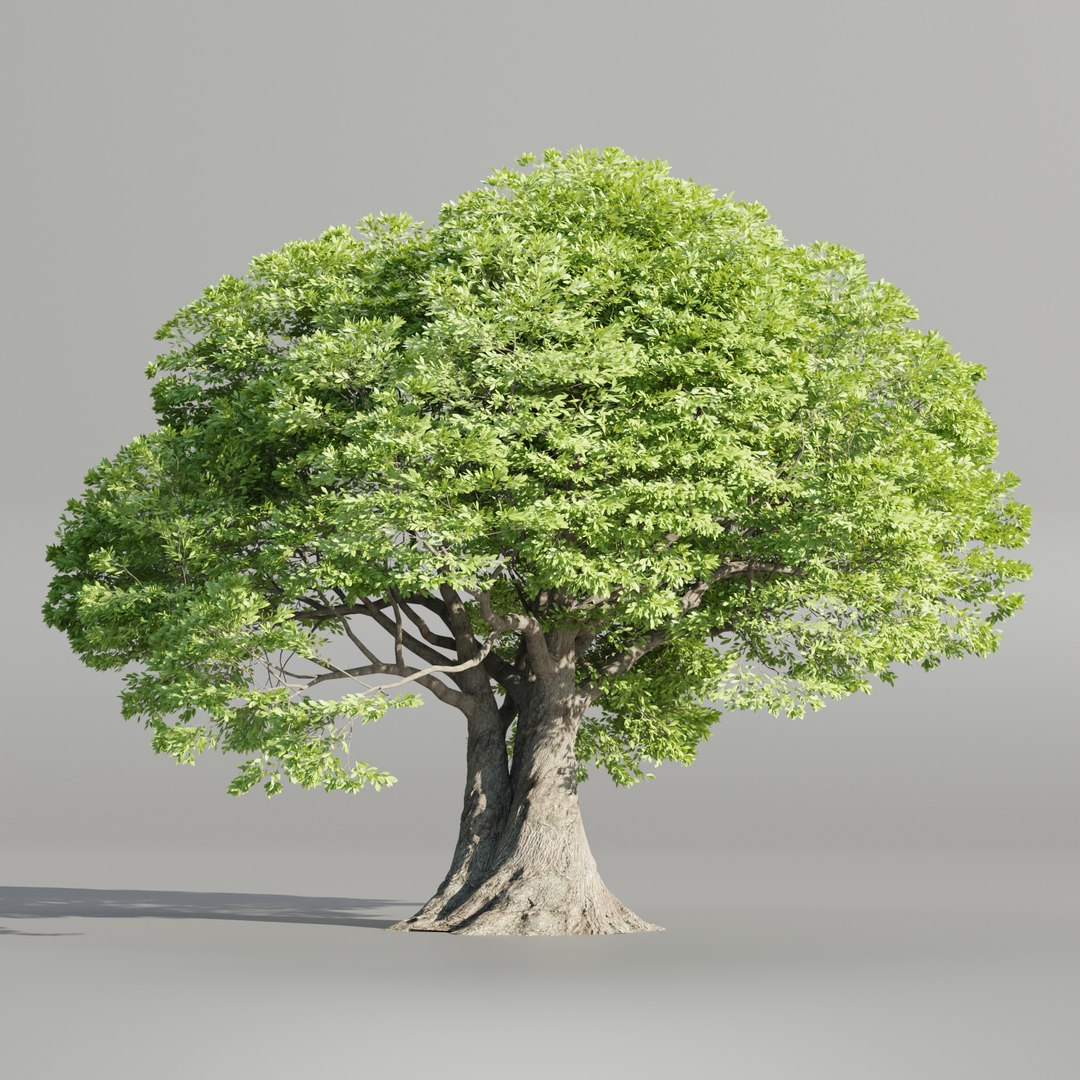 Landscape Tree Vol 165-Blender 3D - TurboSquid 2155573