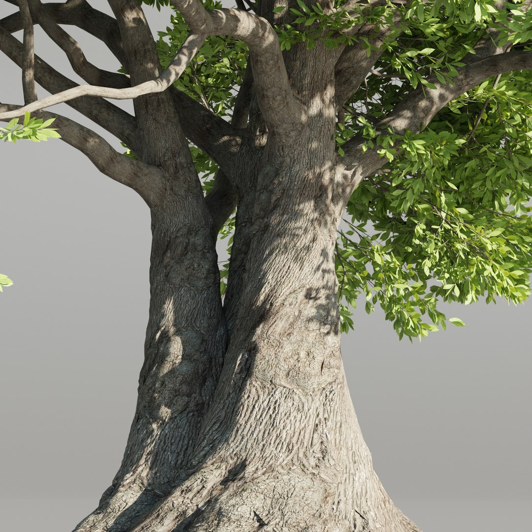 Landscape Tree Vol 165-Blender 3D - TurboSquid 2155573