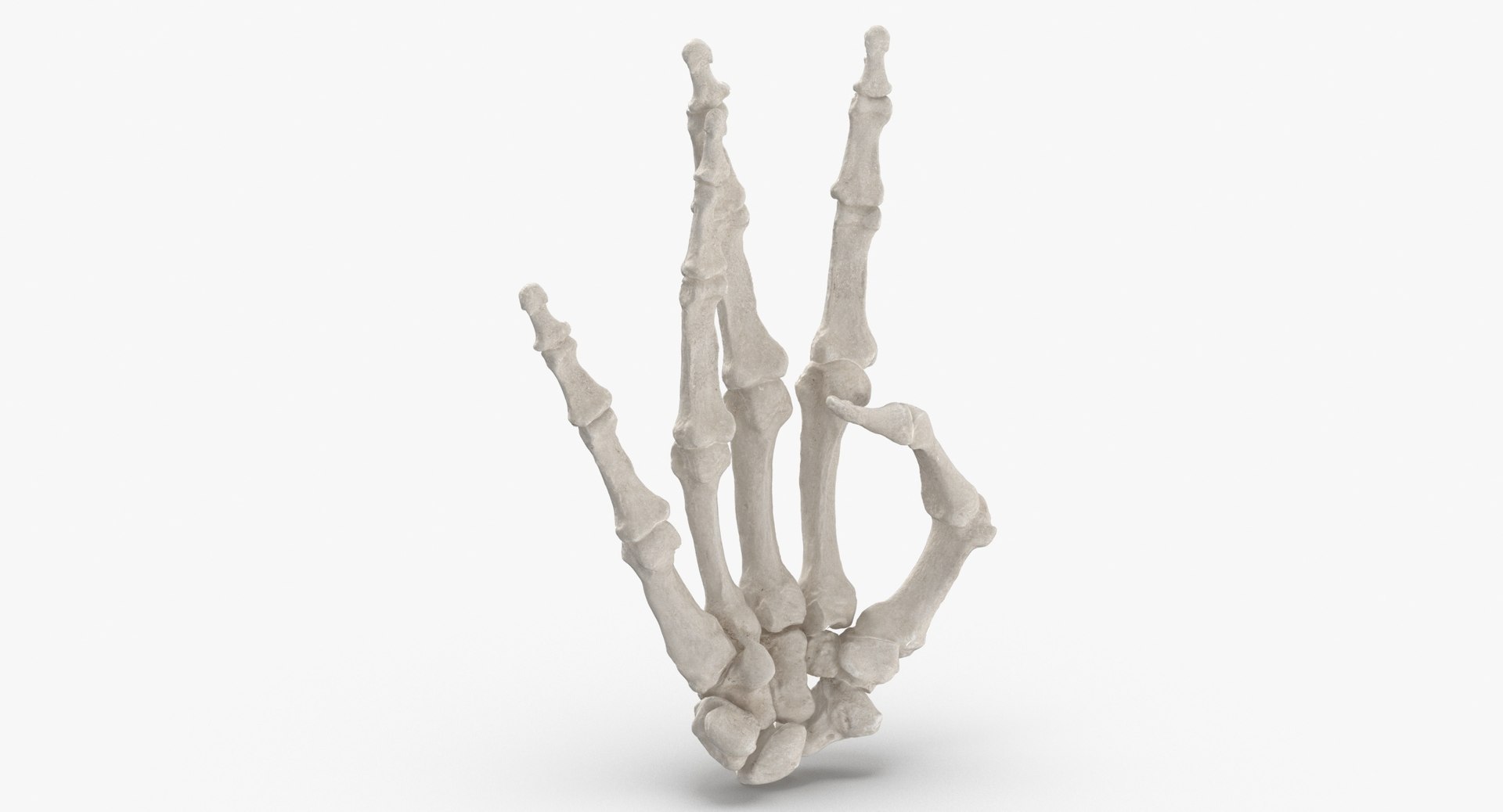 Human Hand Bones West Side Sign White And Yellow Collection 01 - 2 ...