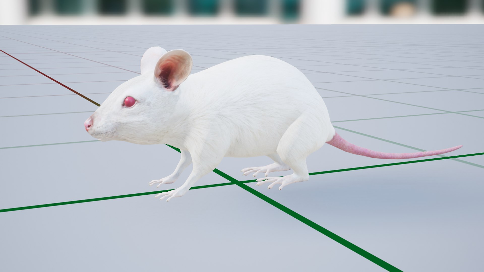 3D Model Mouse - TurboSquid 2132377