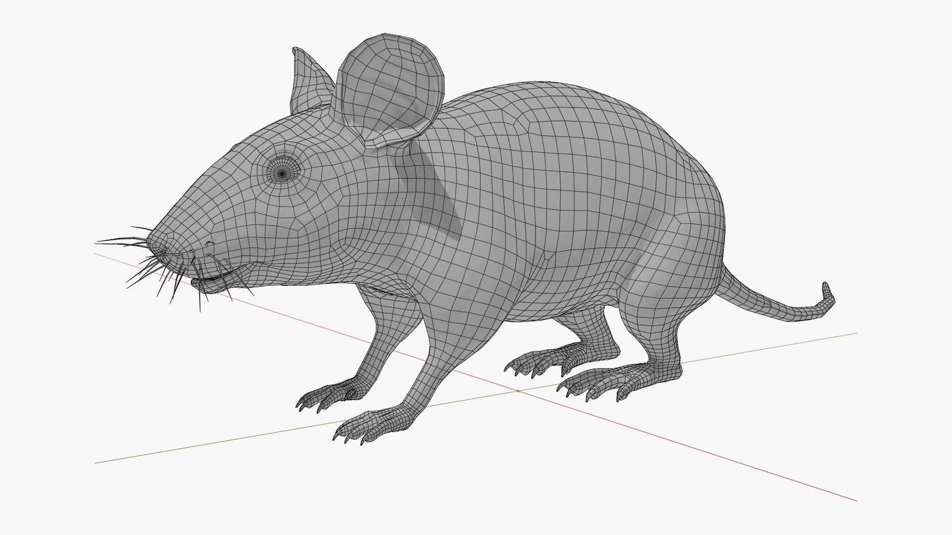 3D Model Mouse - TurboSquid 2132377
